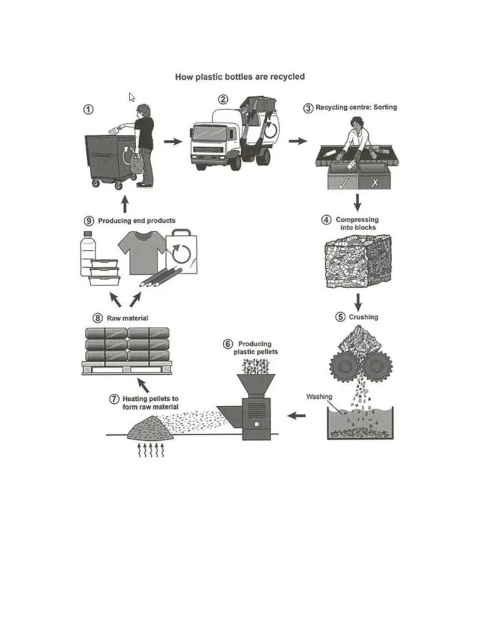 Task 1 (Process Diagram) - National Institute Of Language