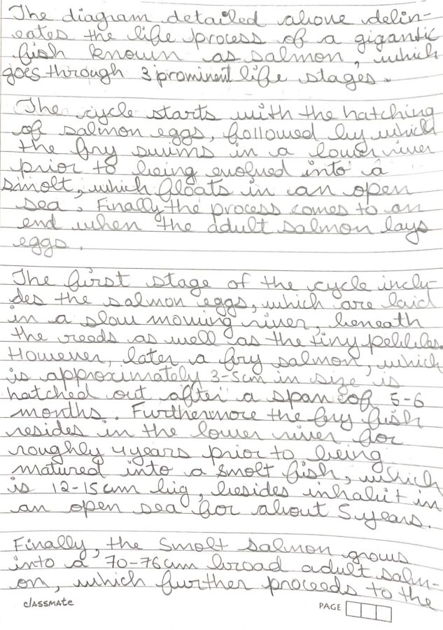 ACADEMIC WRITINK TASK 1: DIAGRAM- LIFE CYCLE - National Institute Of ...